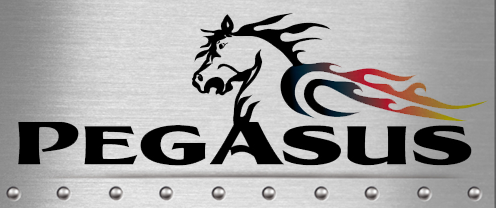 Pegasus Technology Inc. United States,Alabama,Millbrook, Steel/Iron Company