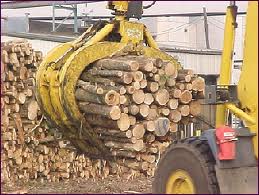 Paper Excellence to purchase Tembec's Chetwynd pulp mill - 2014-02-20 ...